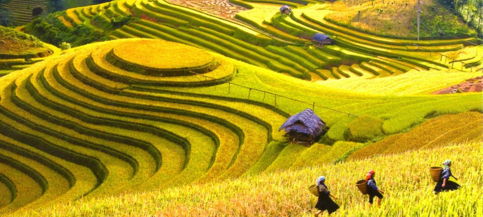 Le guide complet de Ha Giang Le guide complet de Ha Giang